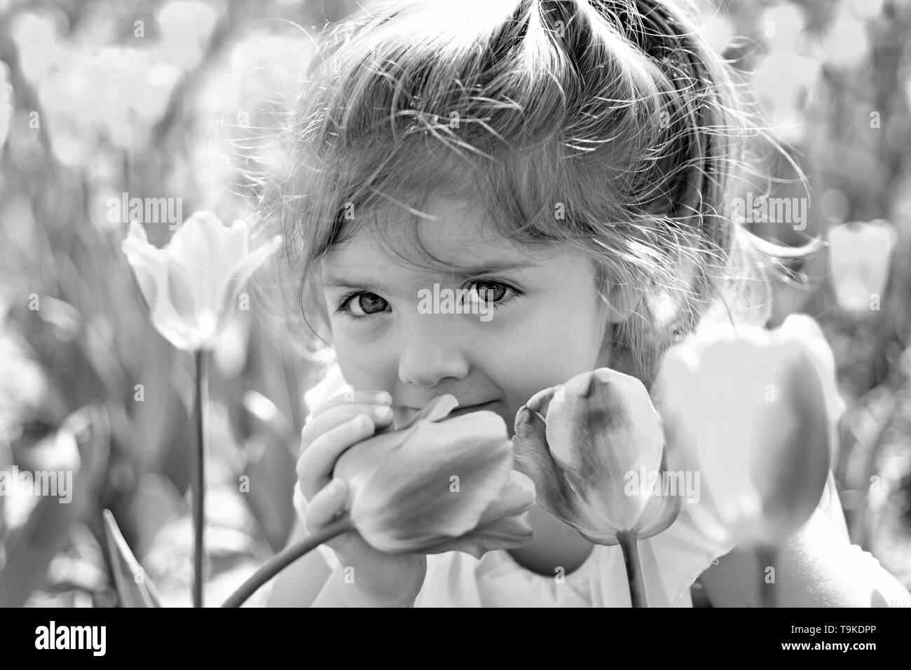 Spring mood. face and skincare. allergy to flowers. Springtime tulips ...