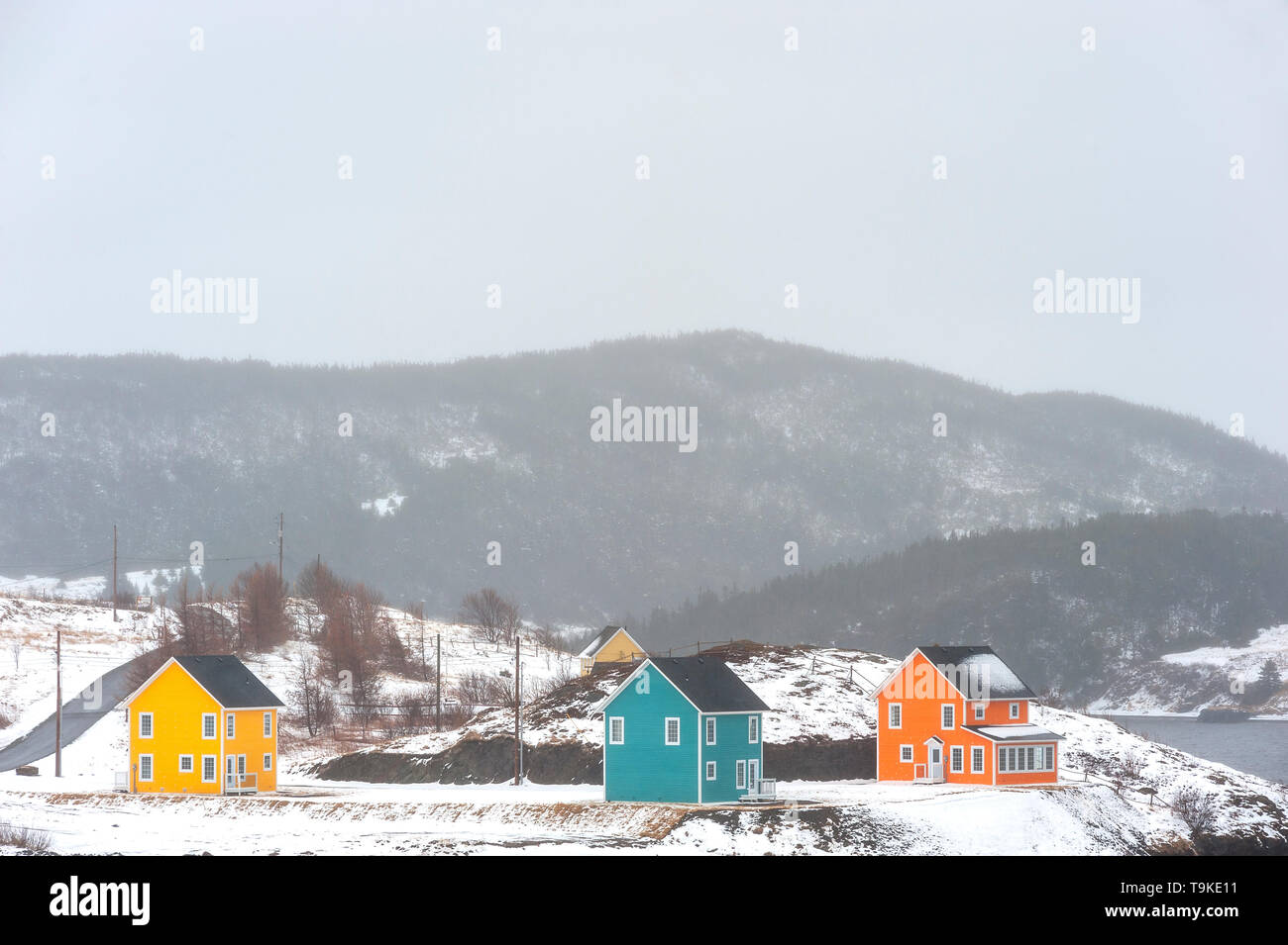 Colorful homes in Trinity, Newfoundland Stock Photo - Alamy