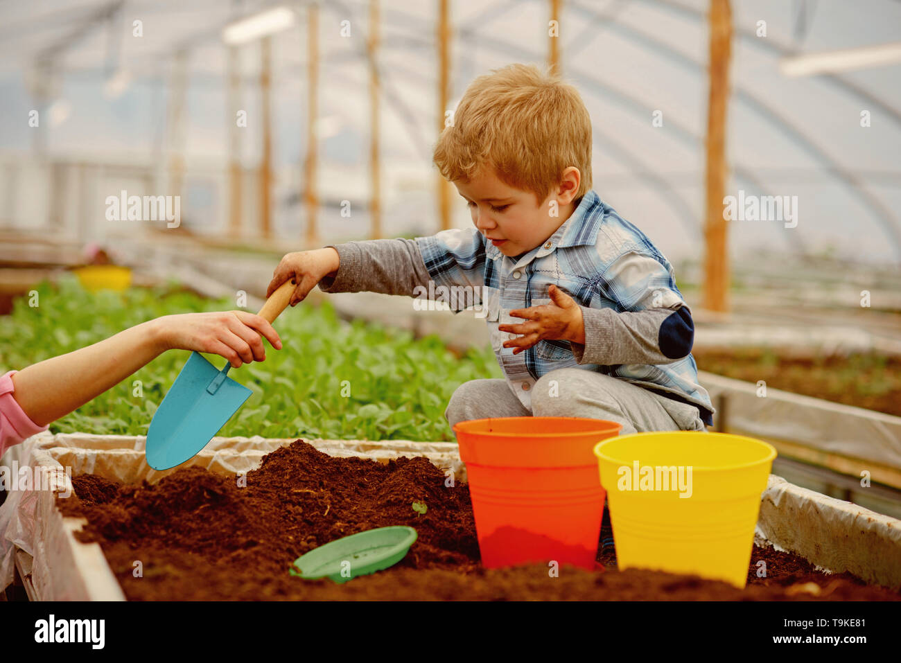 little boy. little boy work in greenhouse. little boy gardener play ...