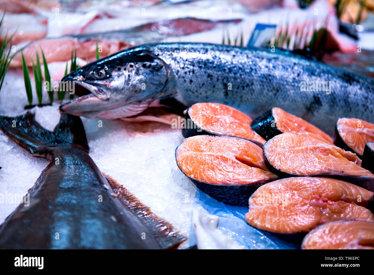 Shrimp fishing ireland hi-res stock photography and images - Alamy