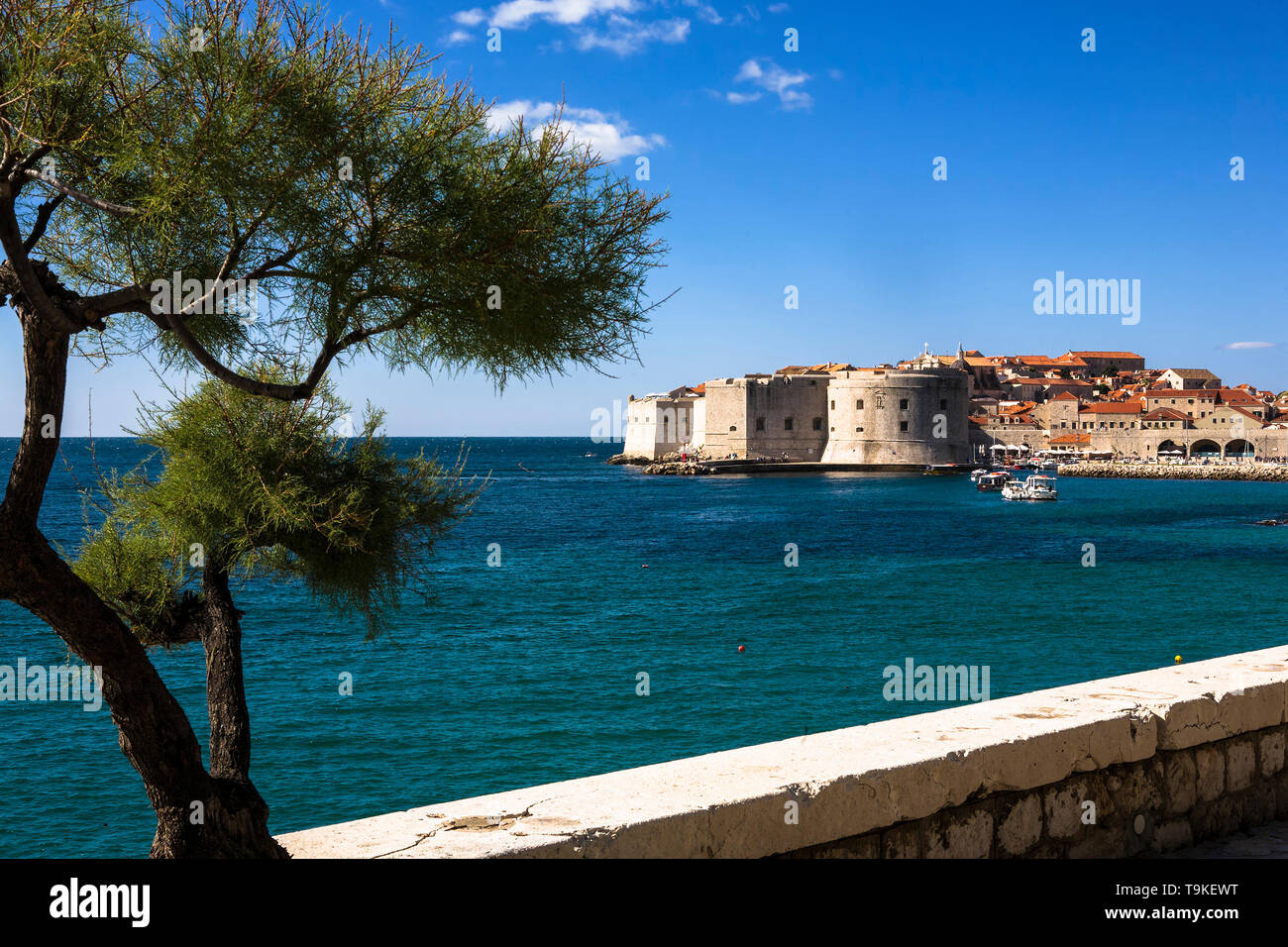 Stari grad (old town) and the old harbour, from the terrace of the ...