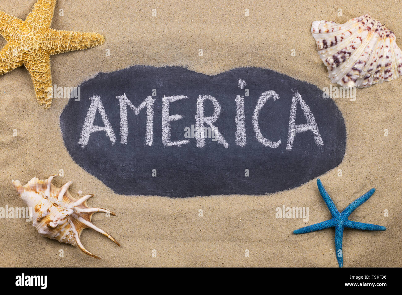 Handwritten word AMERICA written in chalk, among seashells and ...
