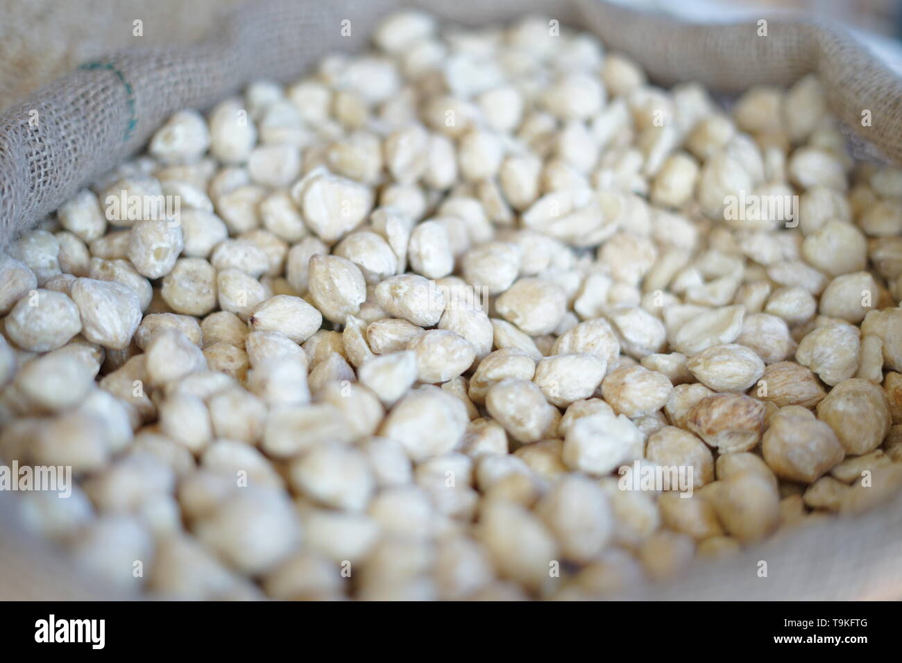 Kemiri hi-res stock photography and images - Alamy