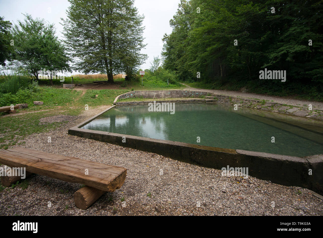 little natural thermal spring of water Stock Photo - Alamy