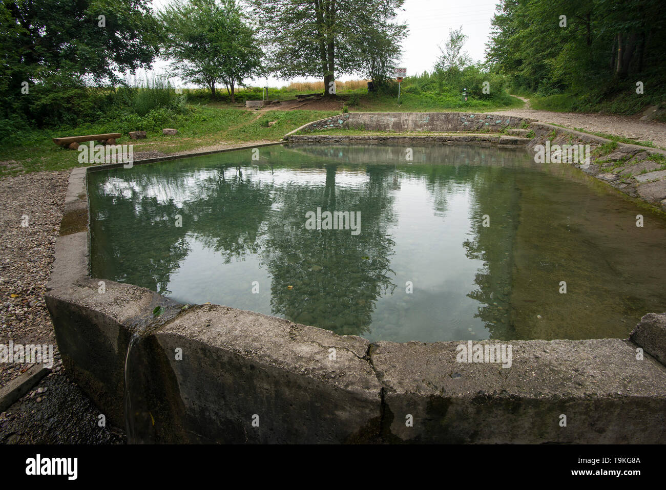 little natural thermal spring of water Stock Photo - Alamy