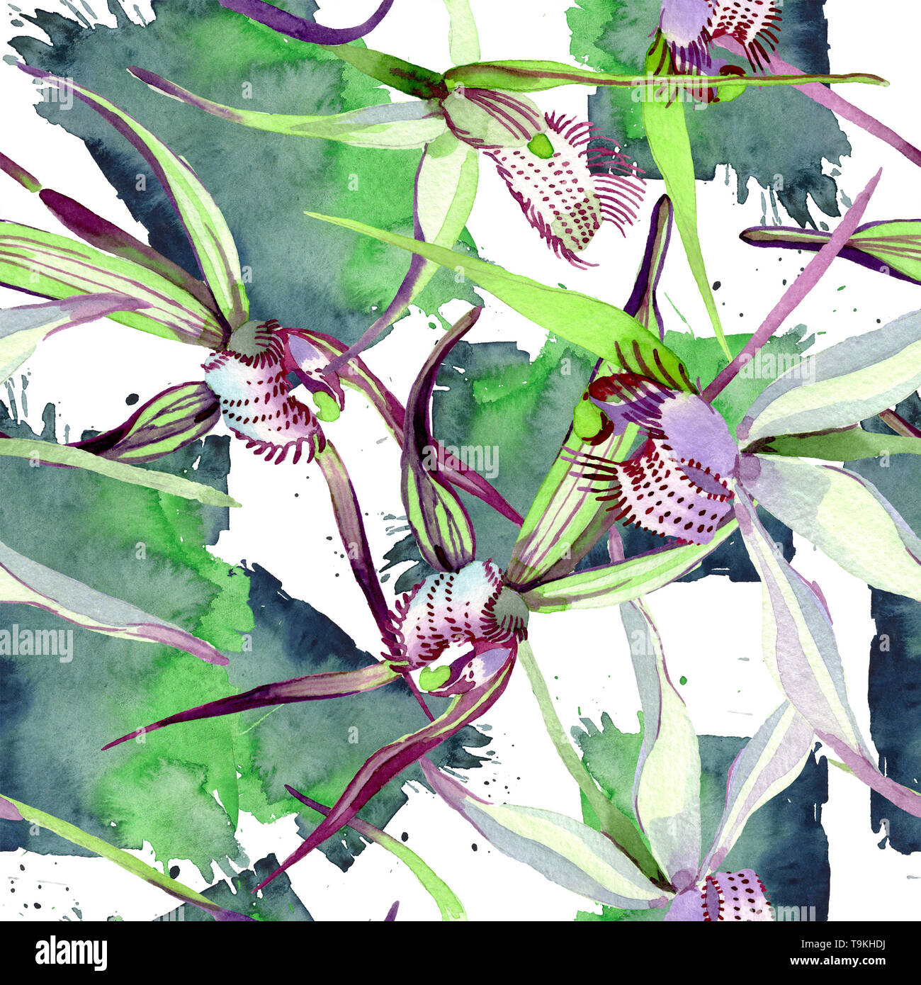 Wild orchid floral botanical flowers. Watercolor background ...