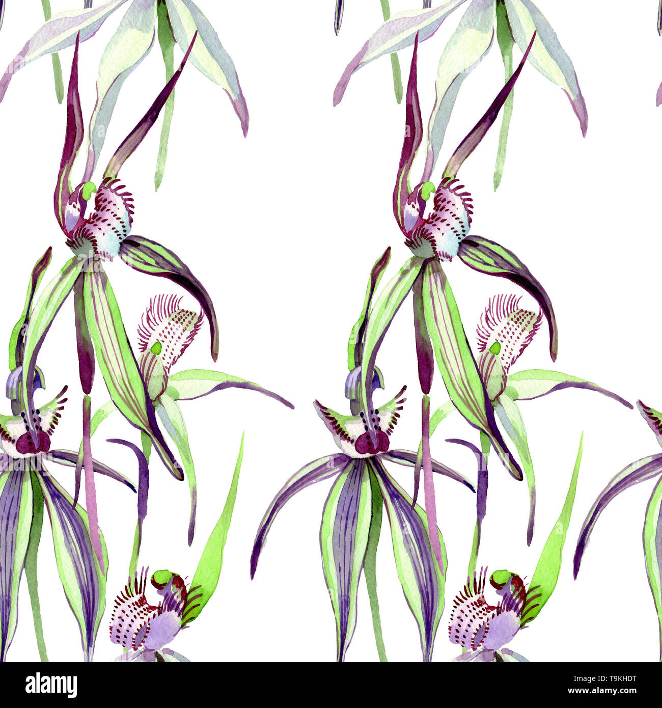 Wild orchid floral botanical flowers. Watercolor background ...