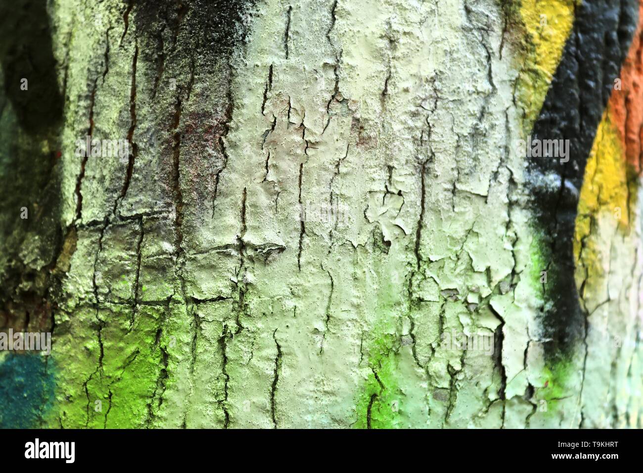 Close up surface of colorful tree bark sprayed with graffiti paint ...