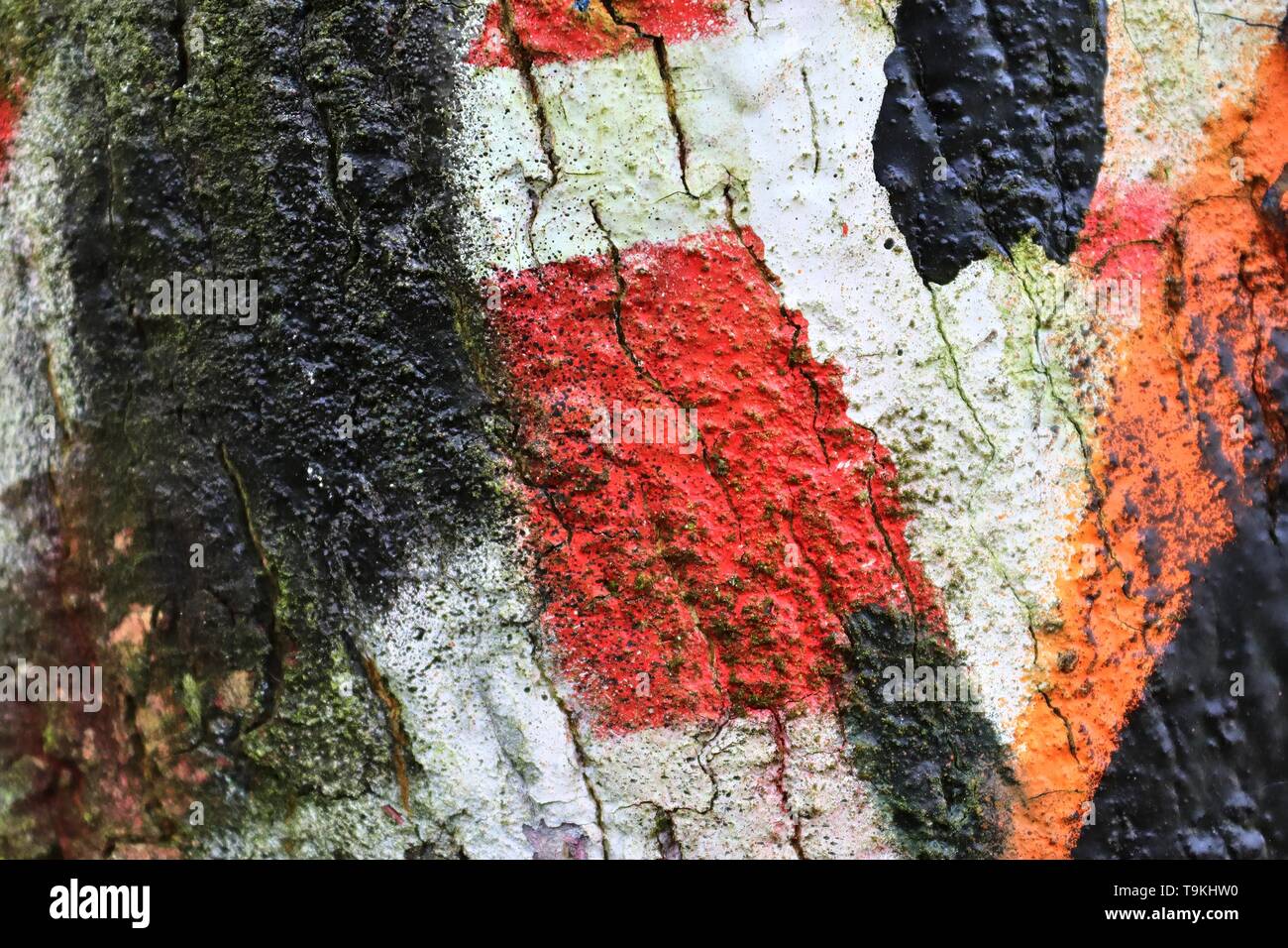 Close up surface of colorful tree bark sprayed with graffiti paint ...
