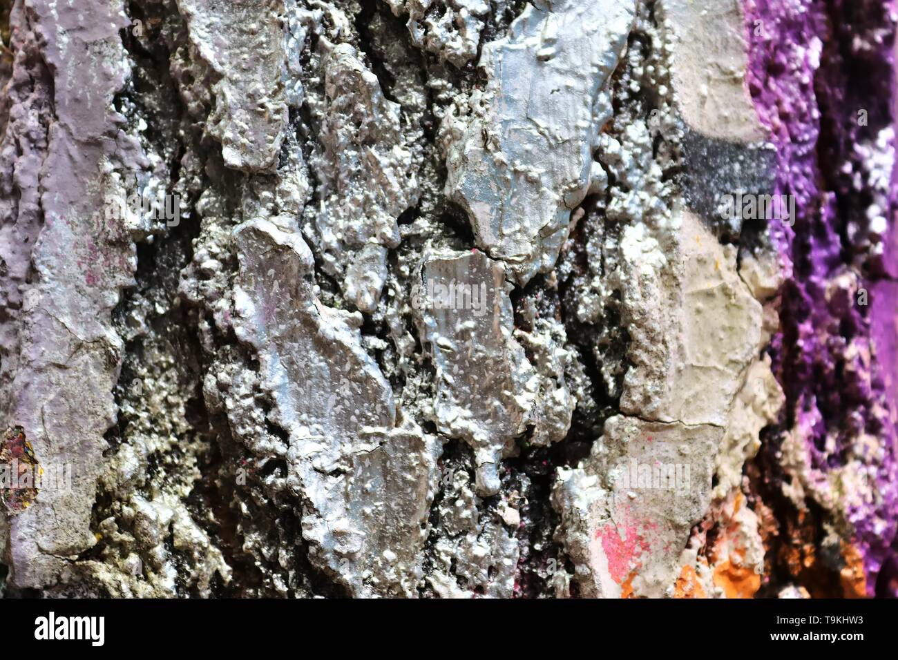 Close up surface of colorful tree bark sprayed with graffiti paint ...