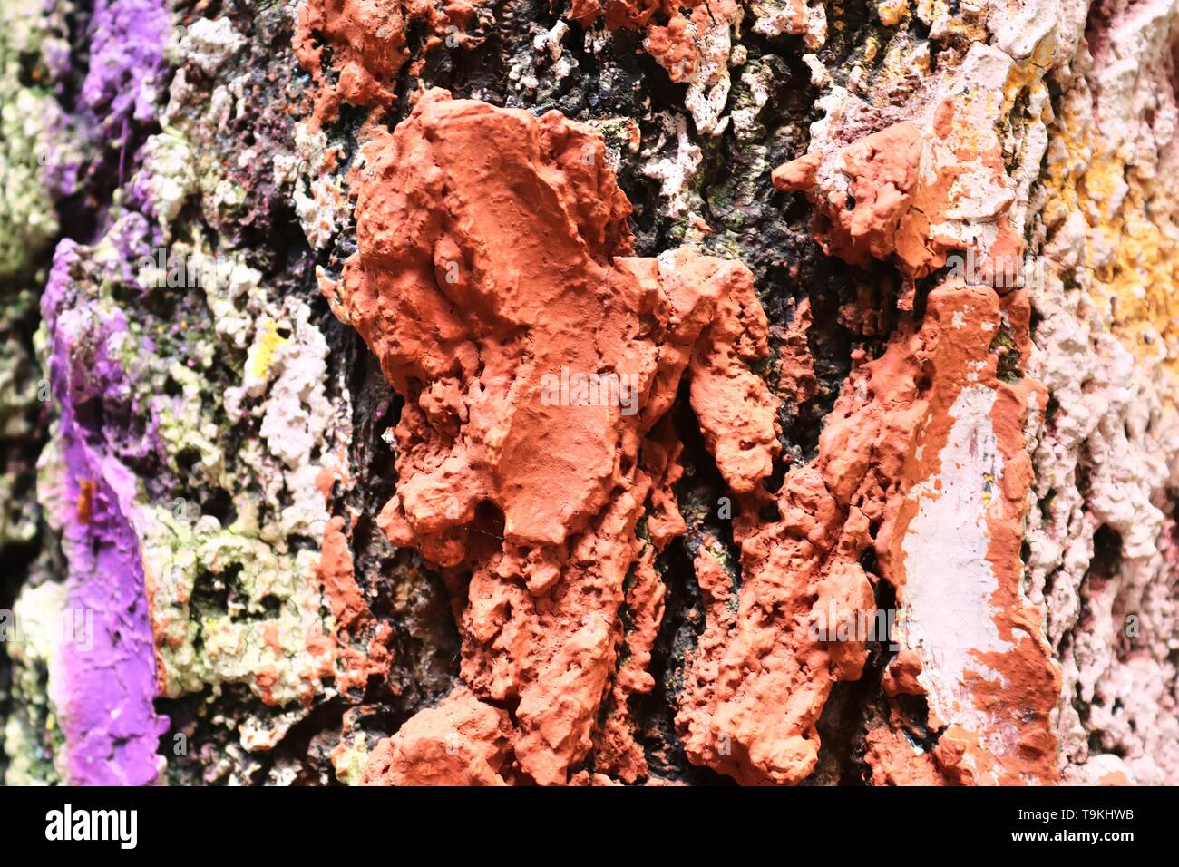 Close up surface of colorful tree bark sprayed with graffiti paint ...
