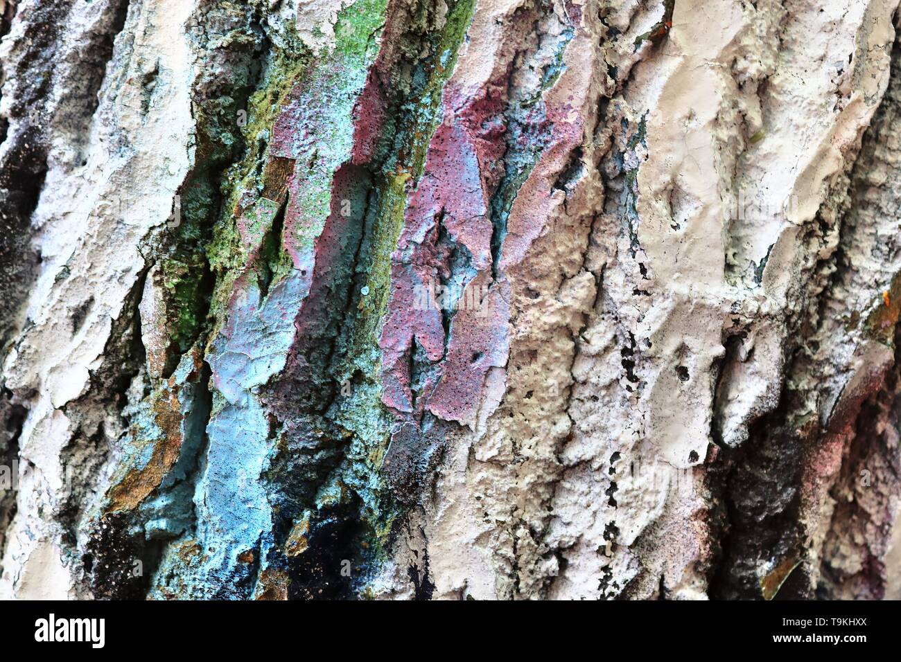 Close up surface of colorful tree bark sprayed with graffiti paint ...