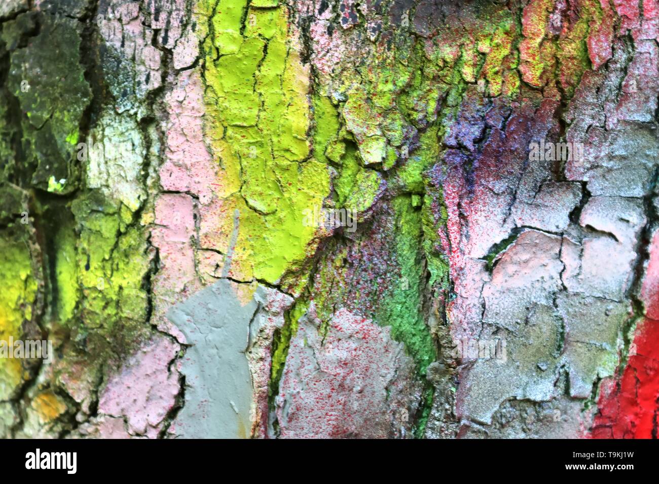 Close up surface of colorful tree bark sprayed with graffiti paint ...