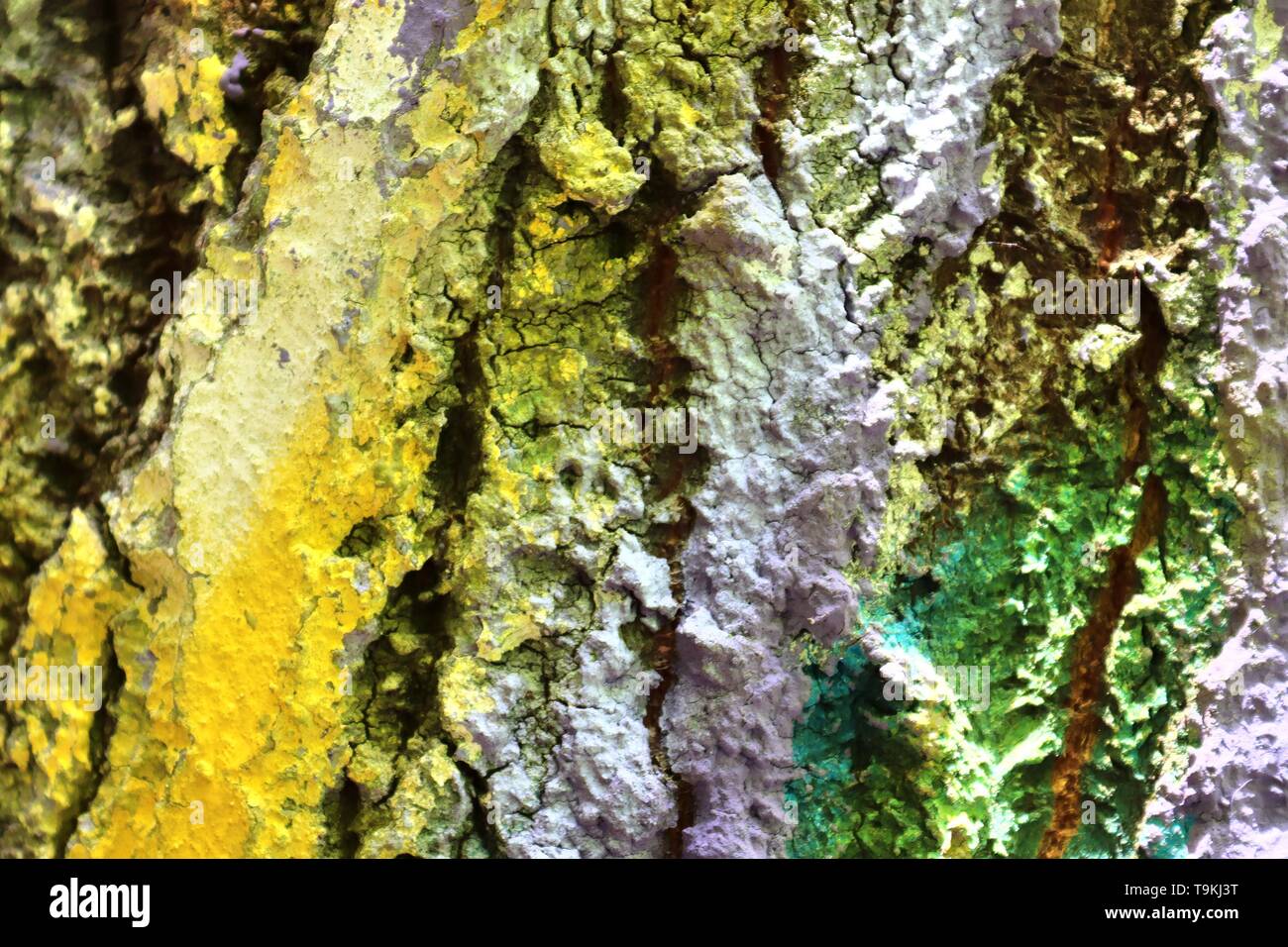 Close up surface of colorful tree bark sprayed with graffiti paint ...