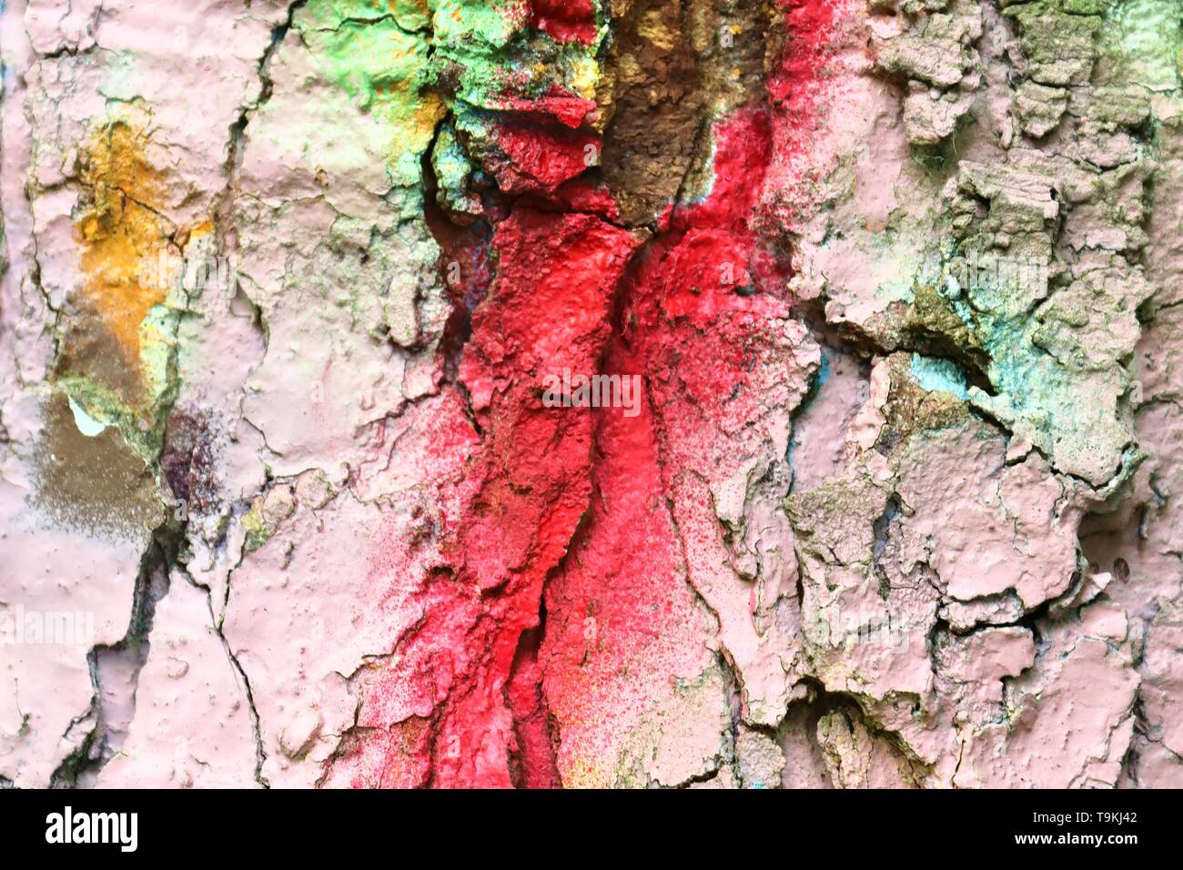 Close up surface of colorful tree bark sprayed with graffiti paint ...