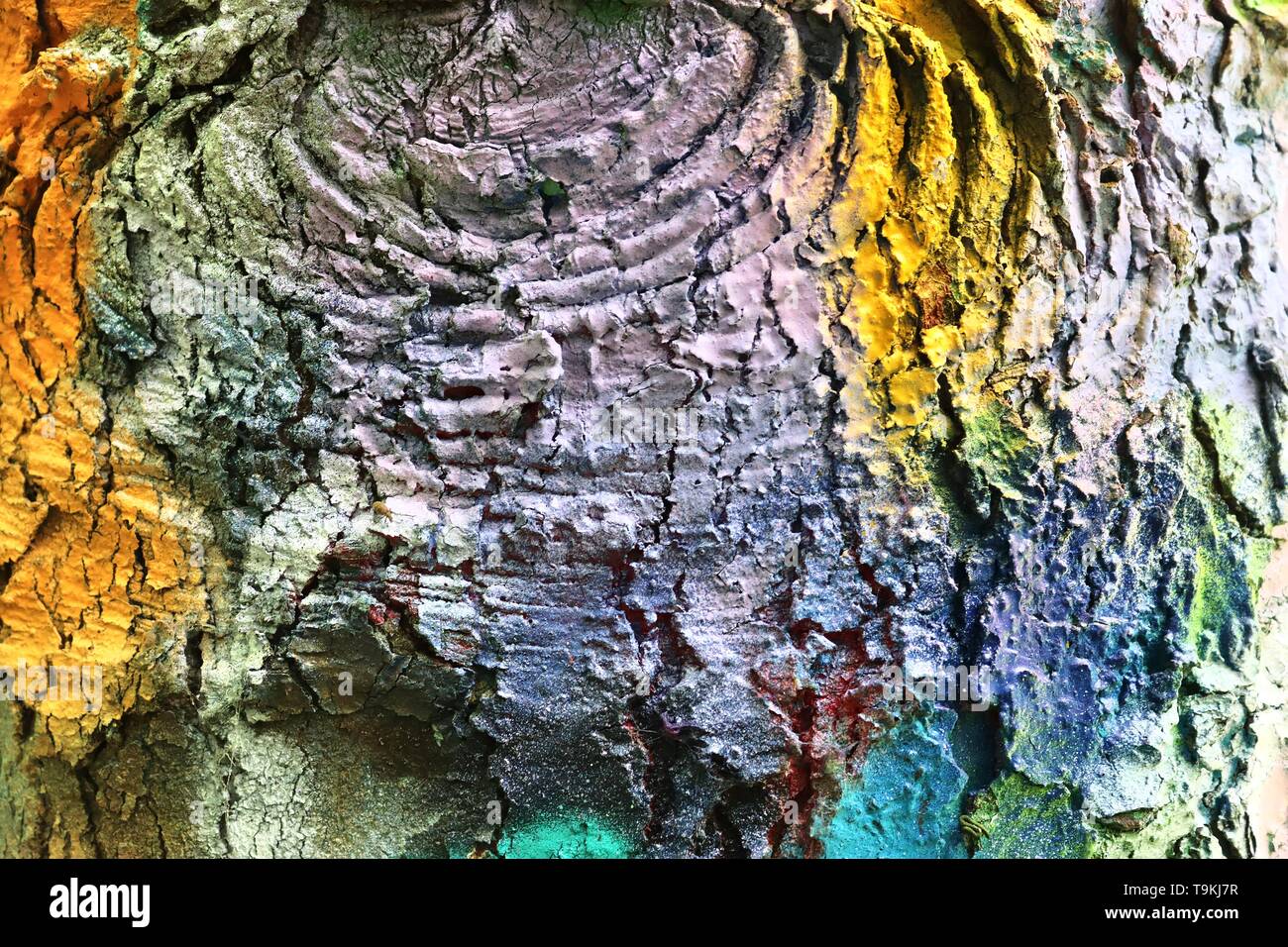 Close up surface of colorful tree bark sprayed with graffiti paint ...