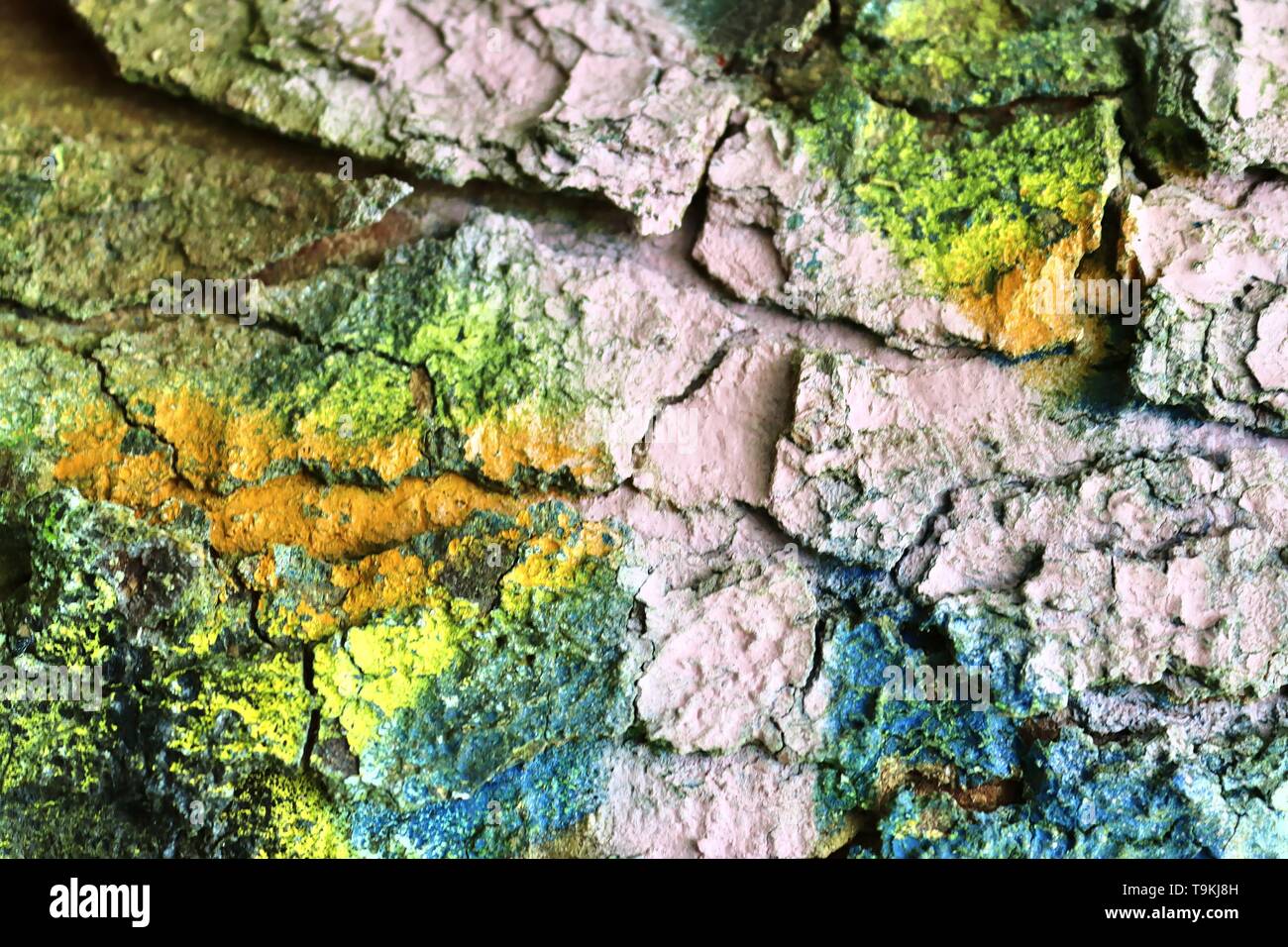 Close up surface of colorful tree bark sprayed with graffiti paint ...