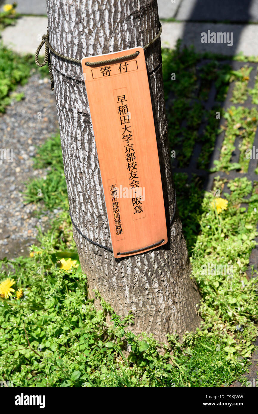tree plaque Japan Stock Photo - Alamy