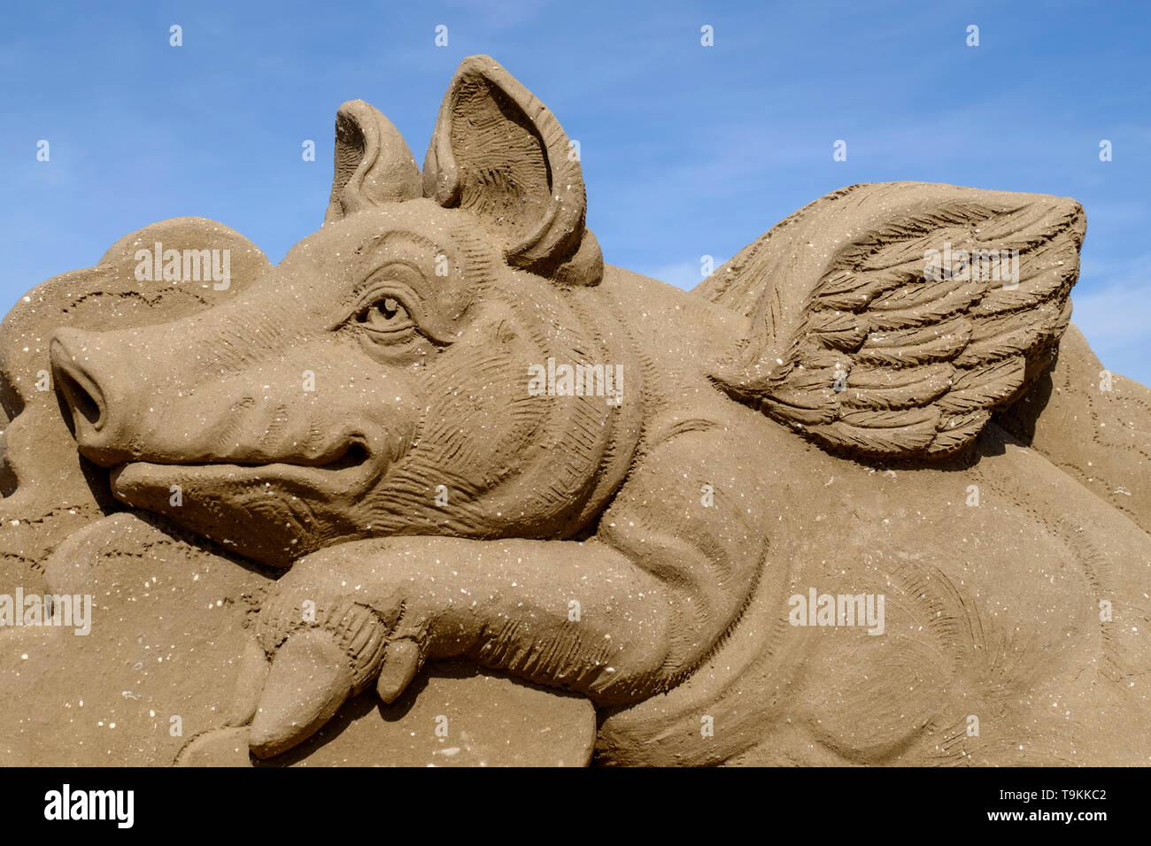Flying pig hi-res stock photography and images - Alamy