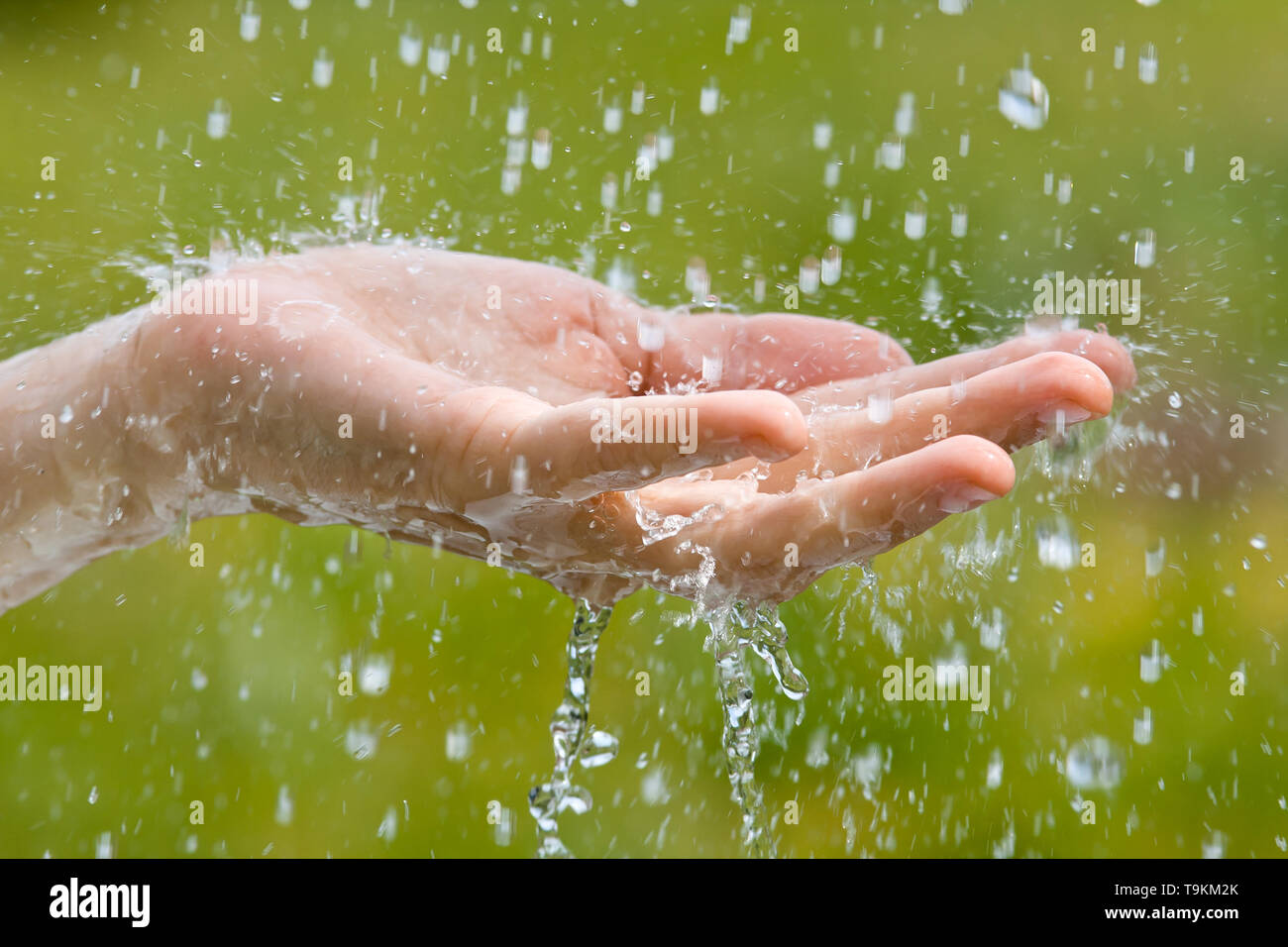 Catching water drops hi-res stock photography and images - Alamy