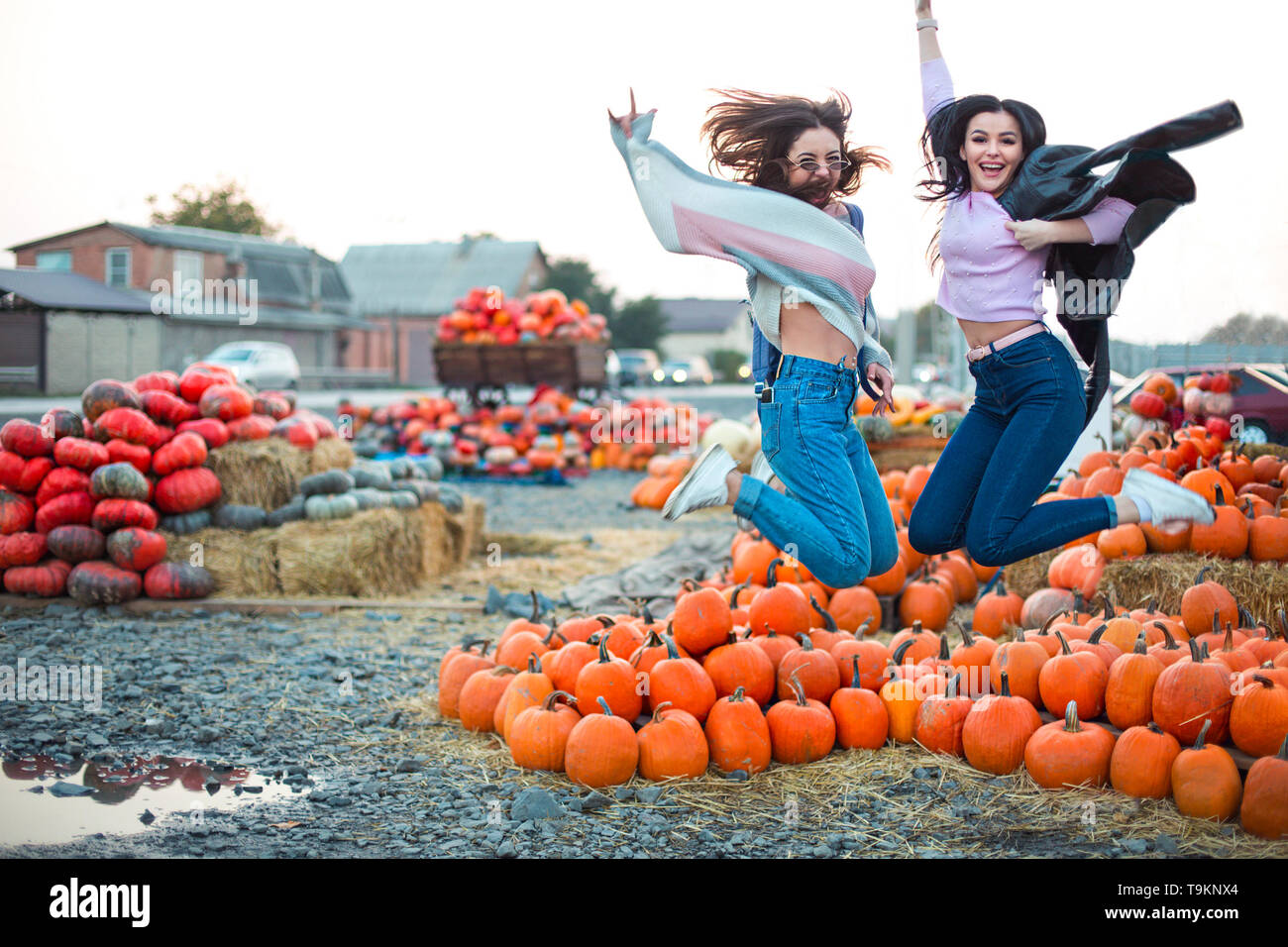 Fashionable beautiful young girlfriends together at the autumn pumpkin patch background. Having ...