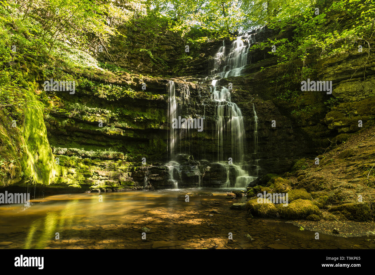 Scaleber Force waterfall in the Yorkshire Dales near the market town of ...