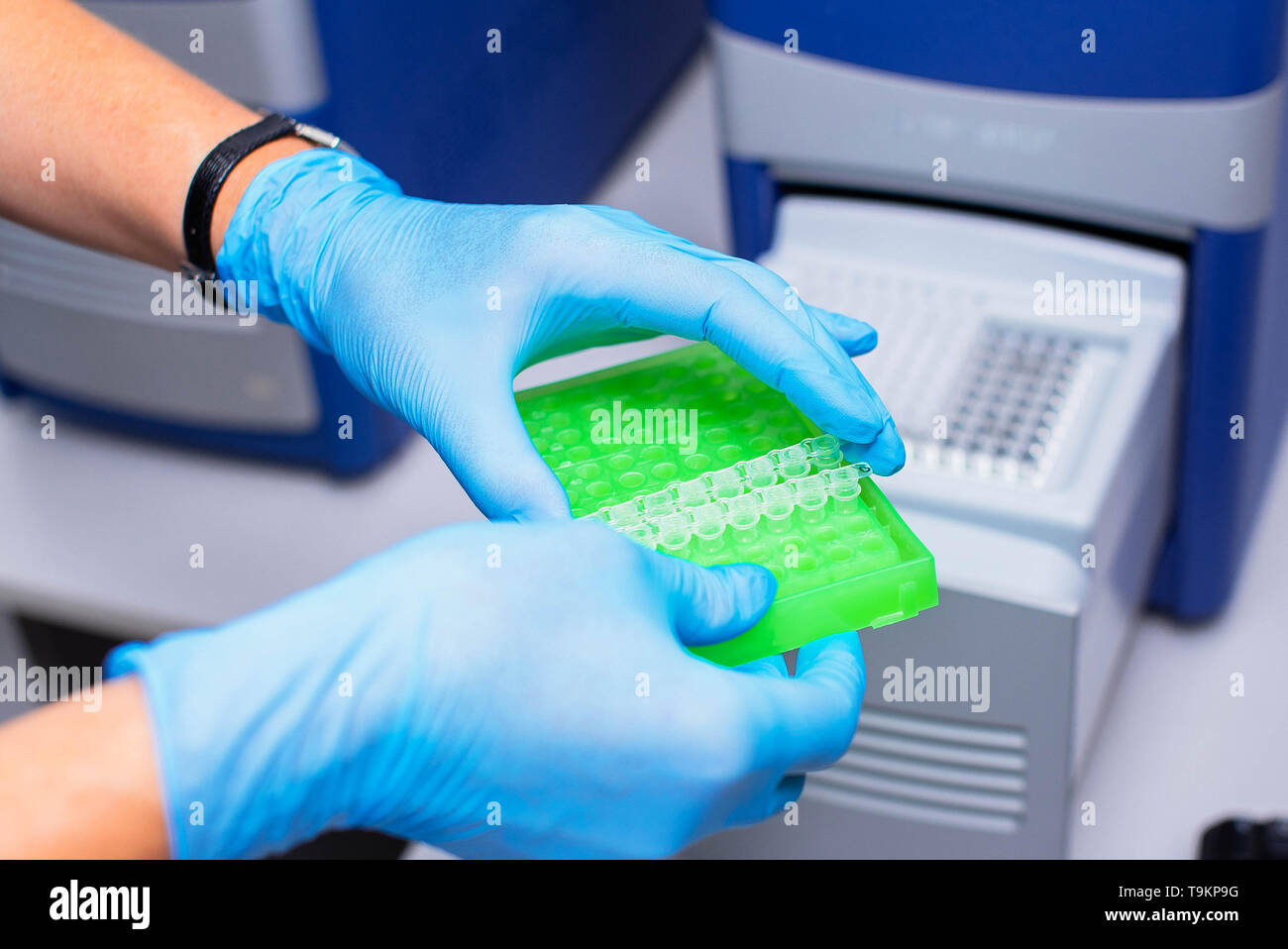 Dna test in the lab. the technician inserts the test tubes into the dna ...