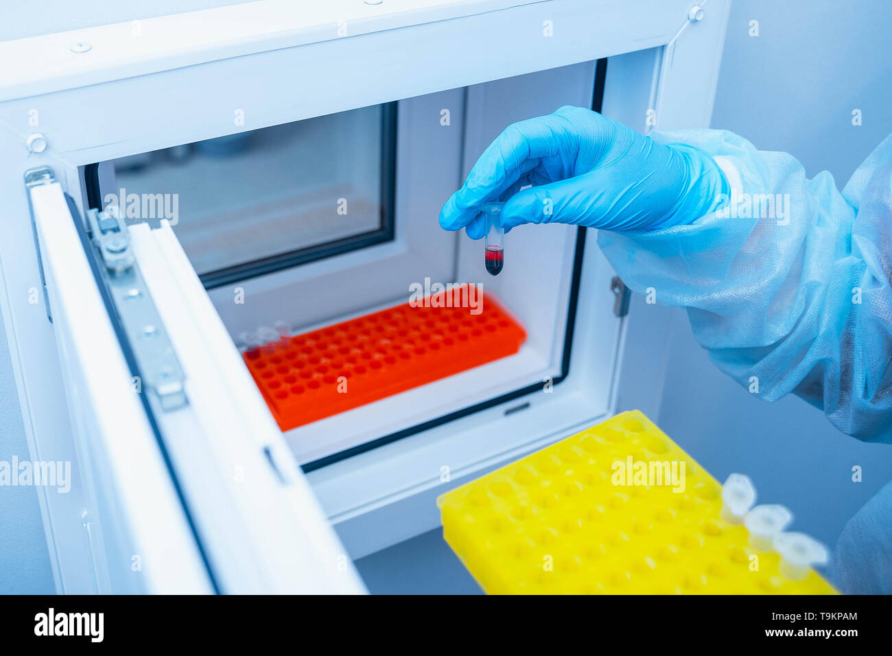 Dna test in the lab. Test tubes with biomaterials in the hands of a ...