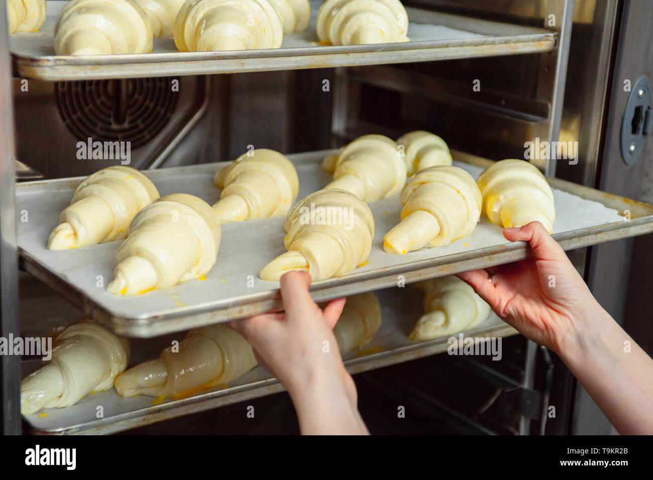 Female hands put the baking in the oven on a sheet of metal. The ...