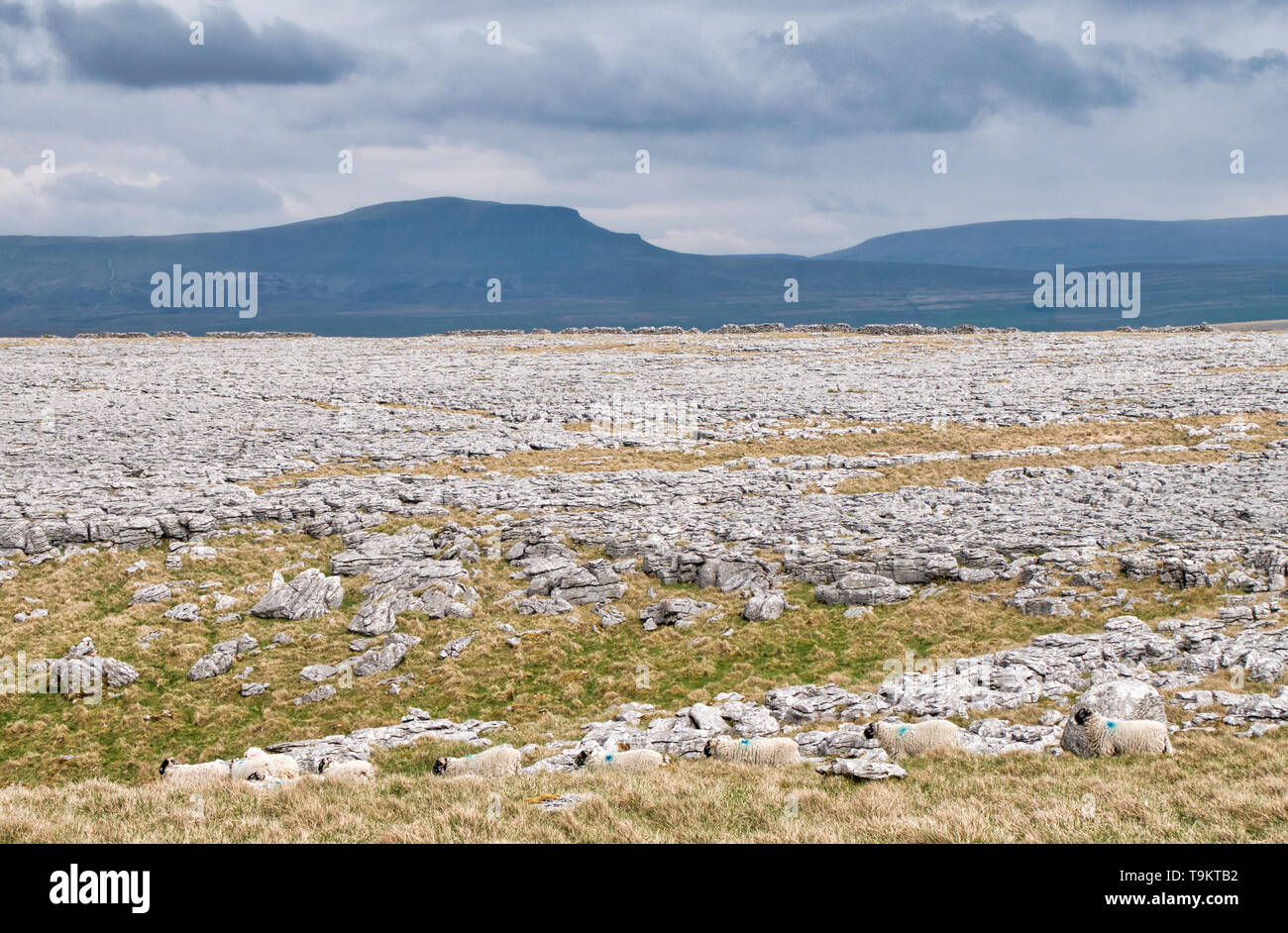 Pavement erosion hi-res stock photography and images - Alamy