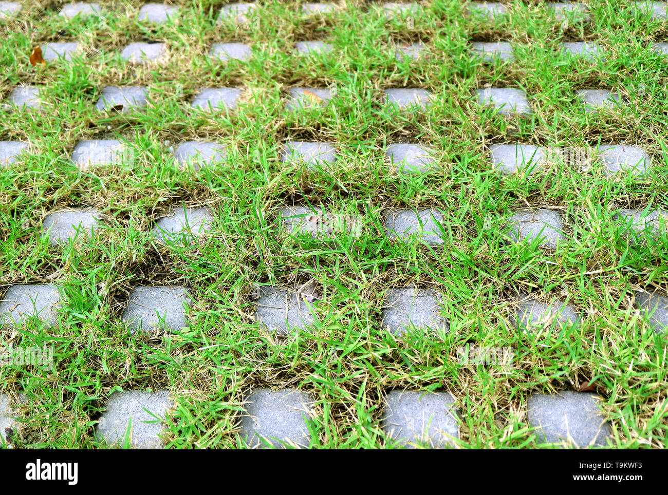 Turf pavers hi-res stock photography and images - Alamy
