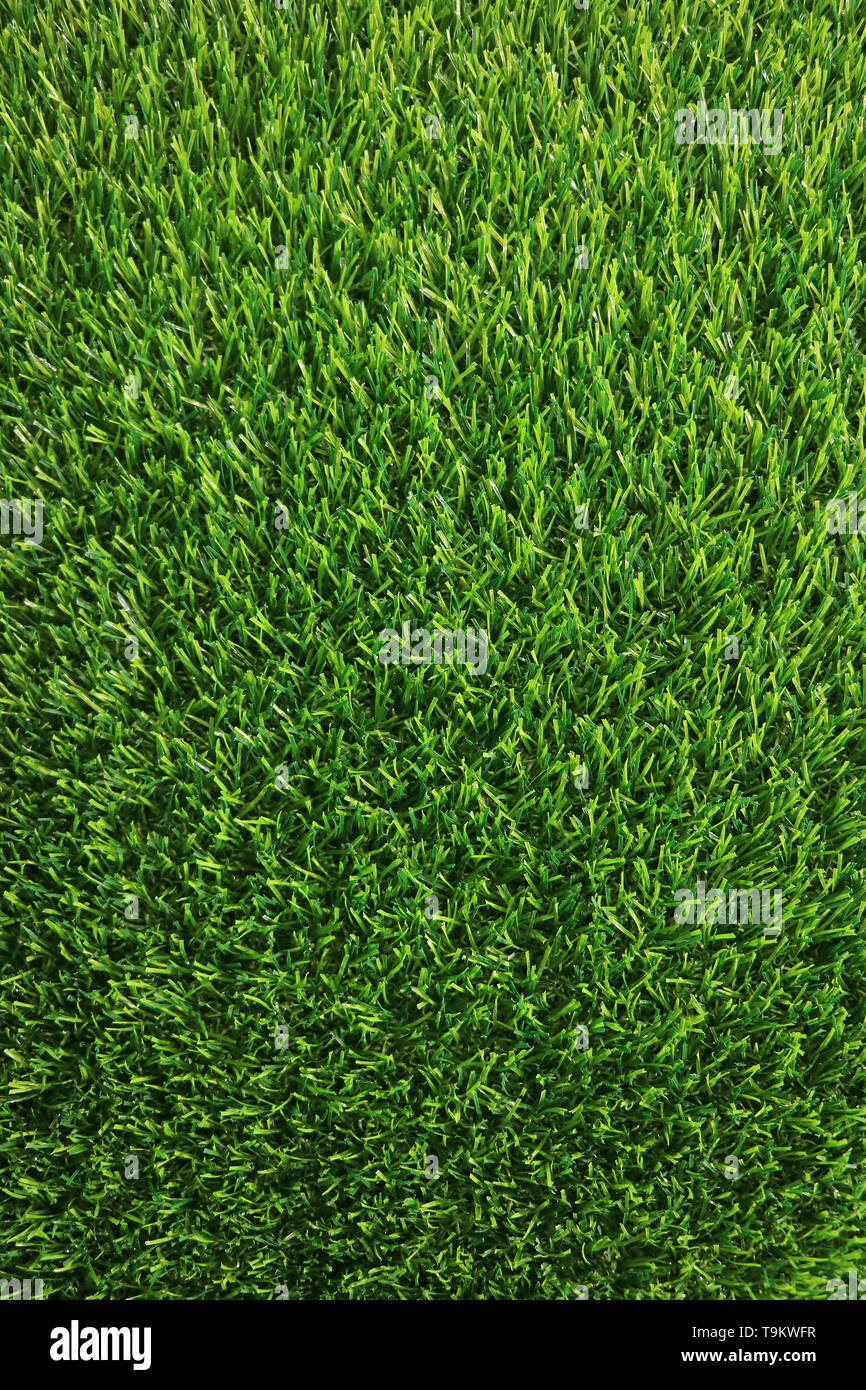 Vertical Image of Lush Green Grass Lawn for Background or banner Stock ...