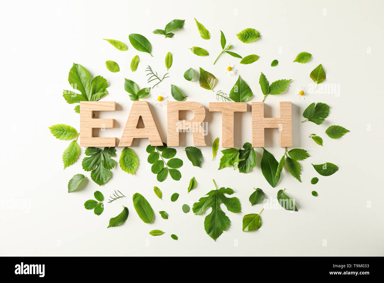 Inscription earth and greenery on light background, space for text ...