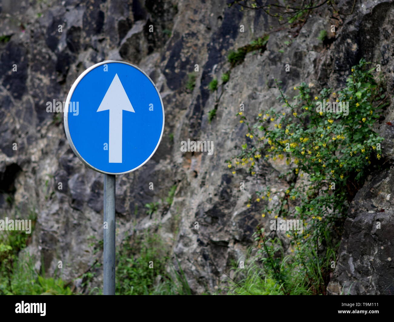 Signaco hi-res stock photography and images - Alamy