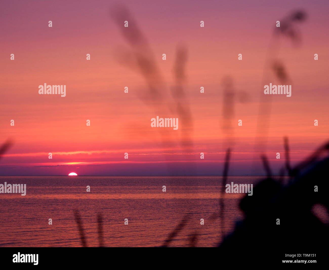 Bright pink sunset from a beach campsite on Miscou Island, New ...