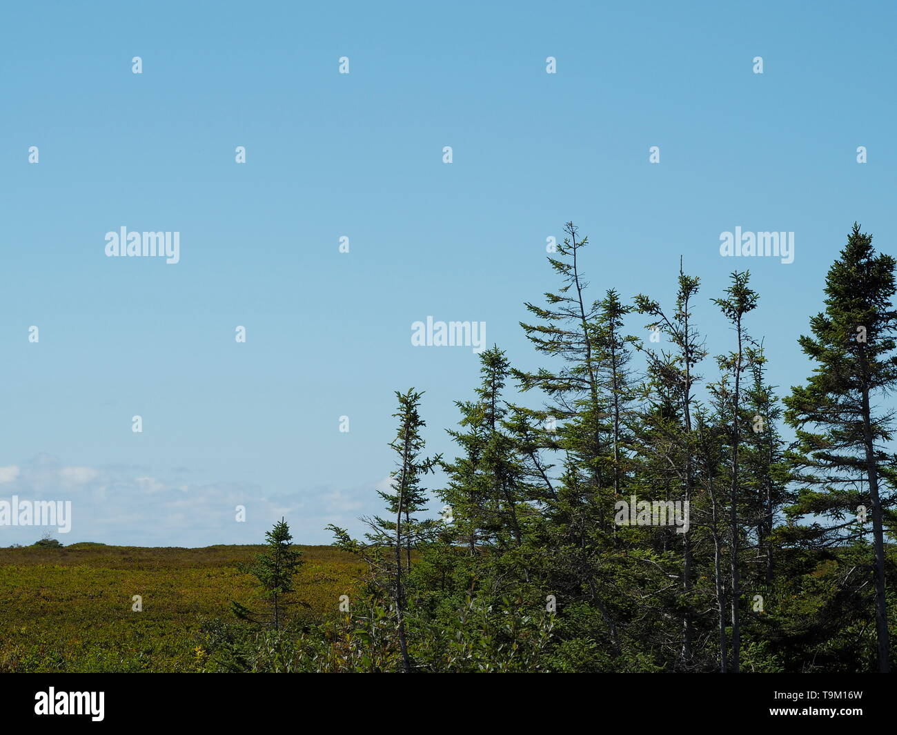 Chaleur bay new brunswick hi-res stock photography and images - Alamy