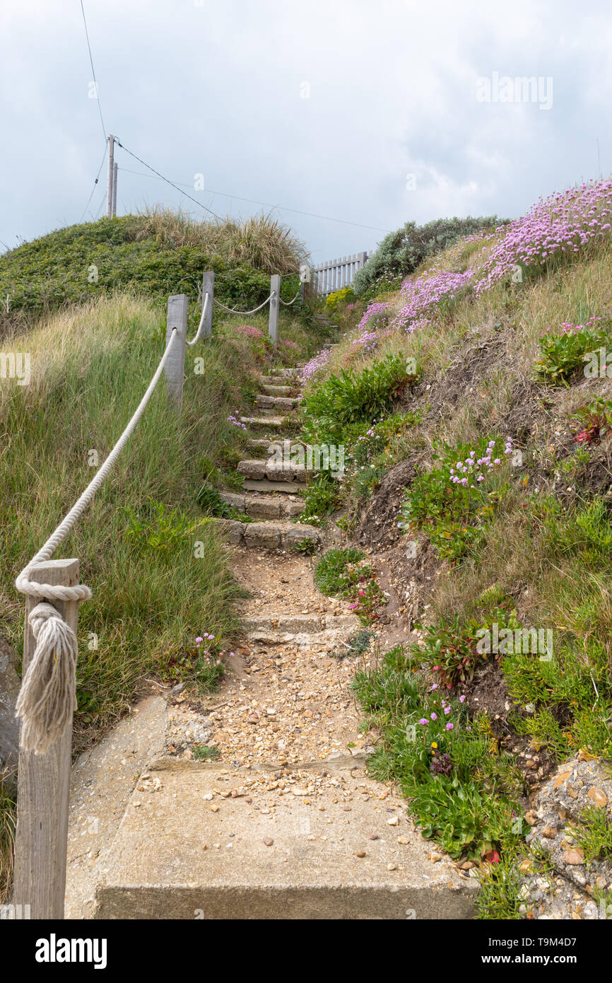 Narrow road leading to beach hi-res stock photography and images - Alamy