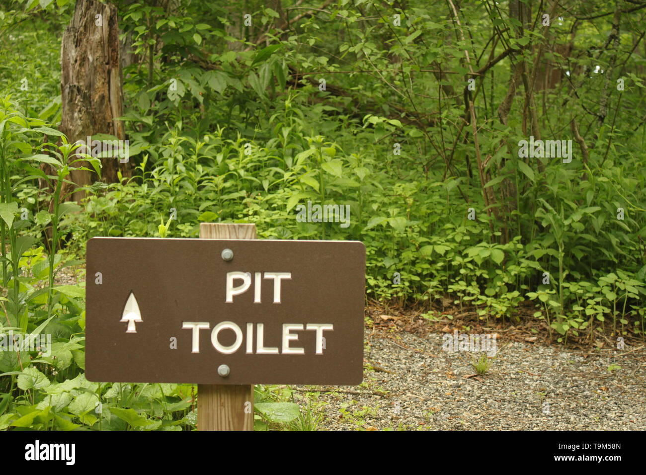 Pit Toilet ahead sign at New River State Park Stock Photo - Alamy