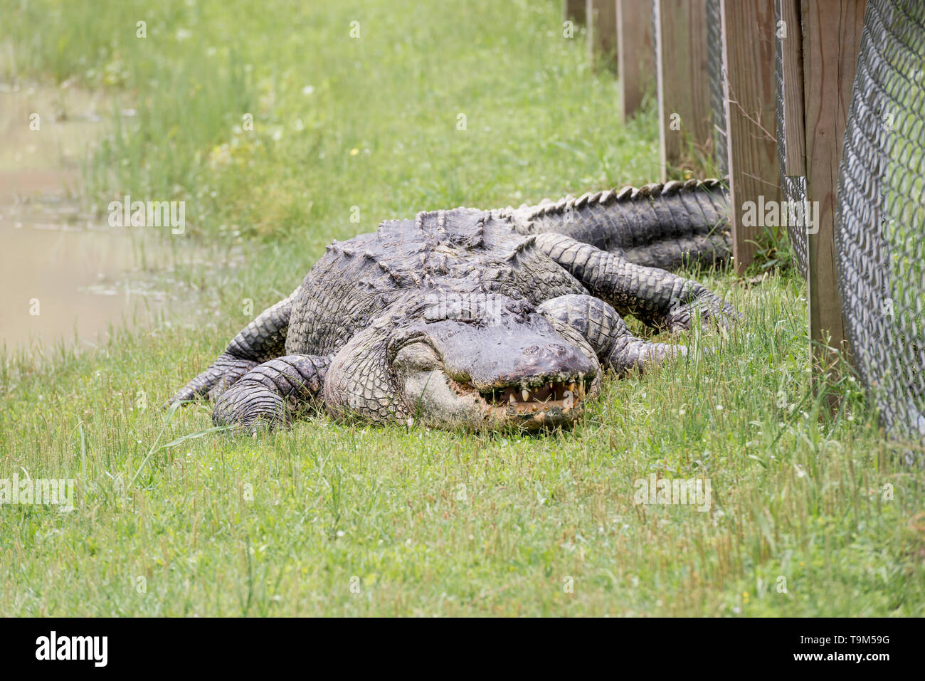 Texas big country hi-res stock photography and images - Alamy