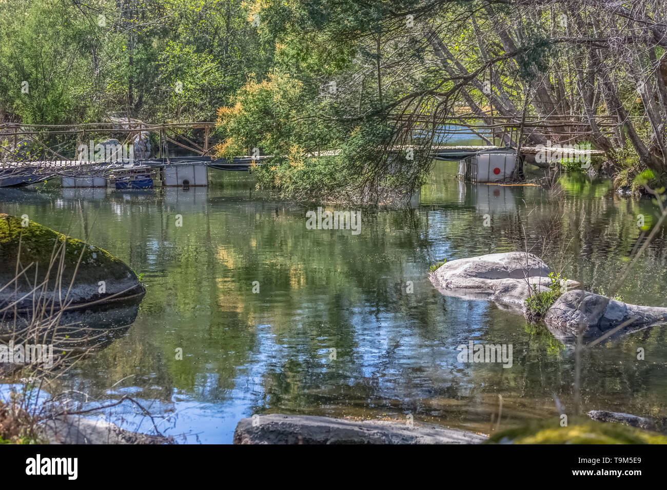 View Dão river with ecological bridge, made with recycled materials, in ...