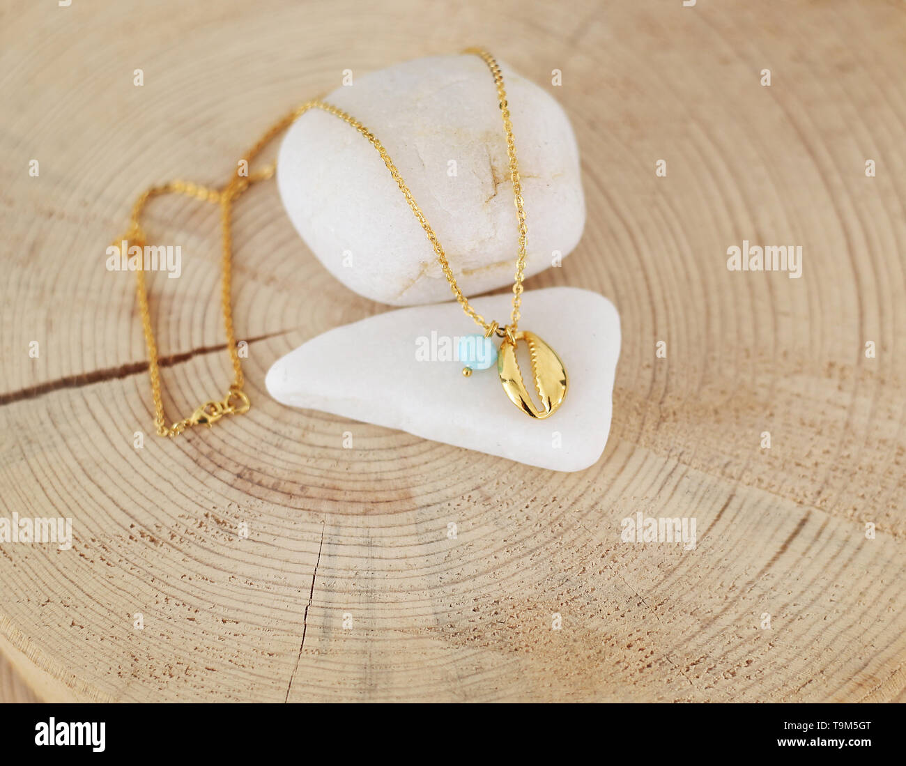still life of a delicate gold chain necklace with gold shell and ...
