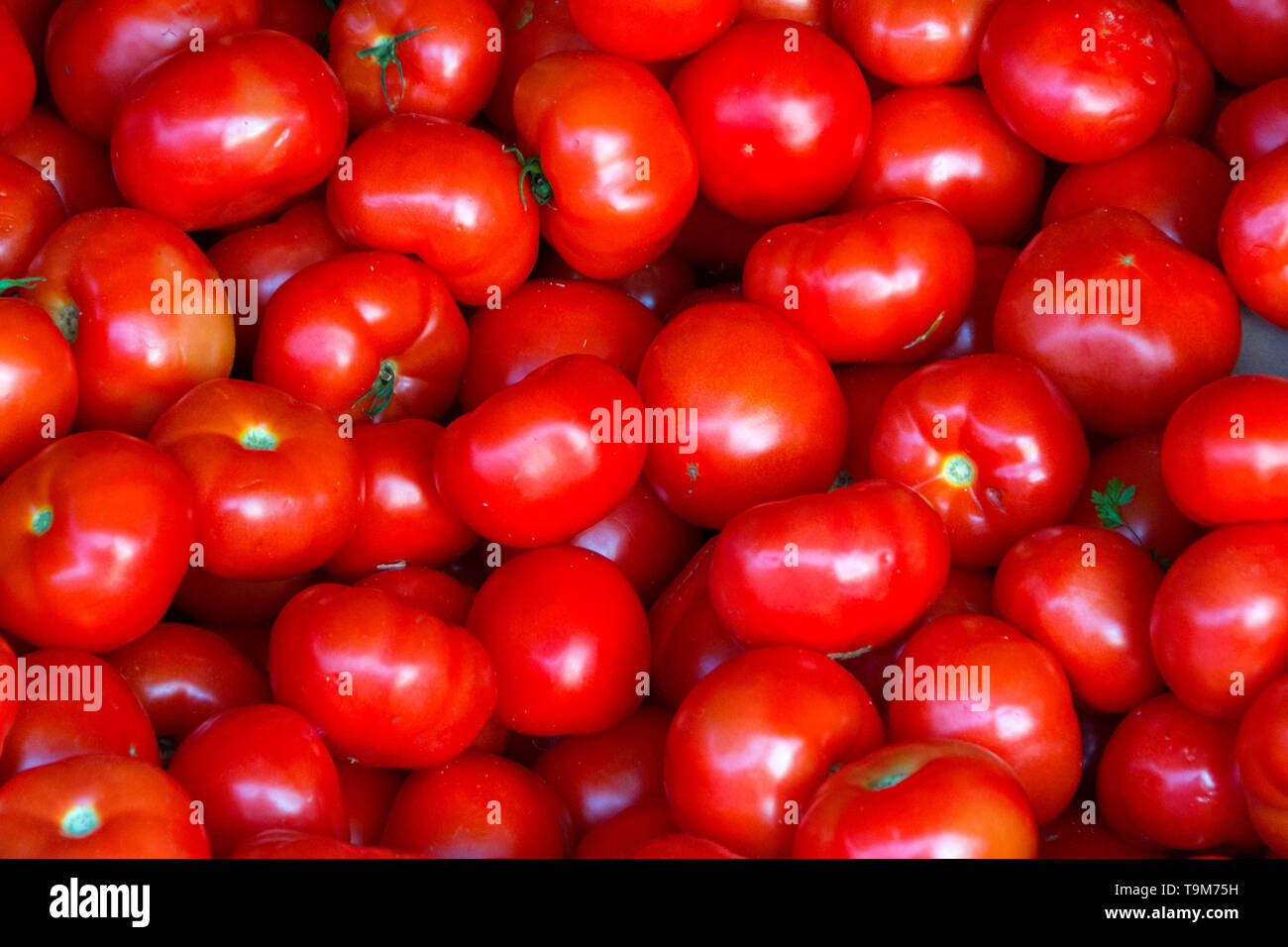 Tomatoes of bright red color in bulk on market stall Stock Photo - Alamy