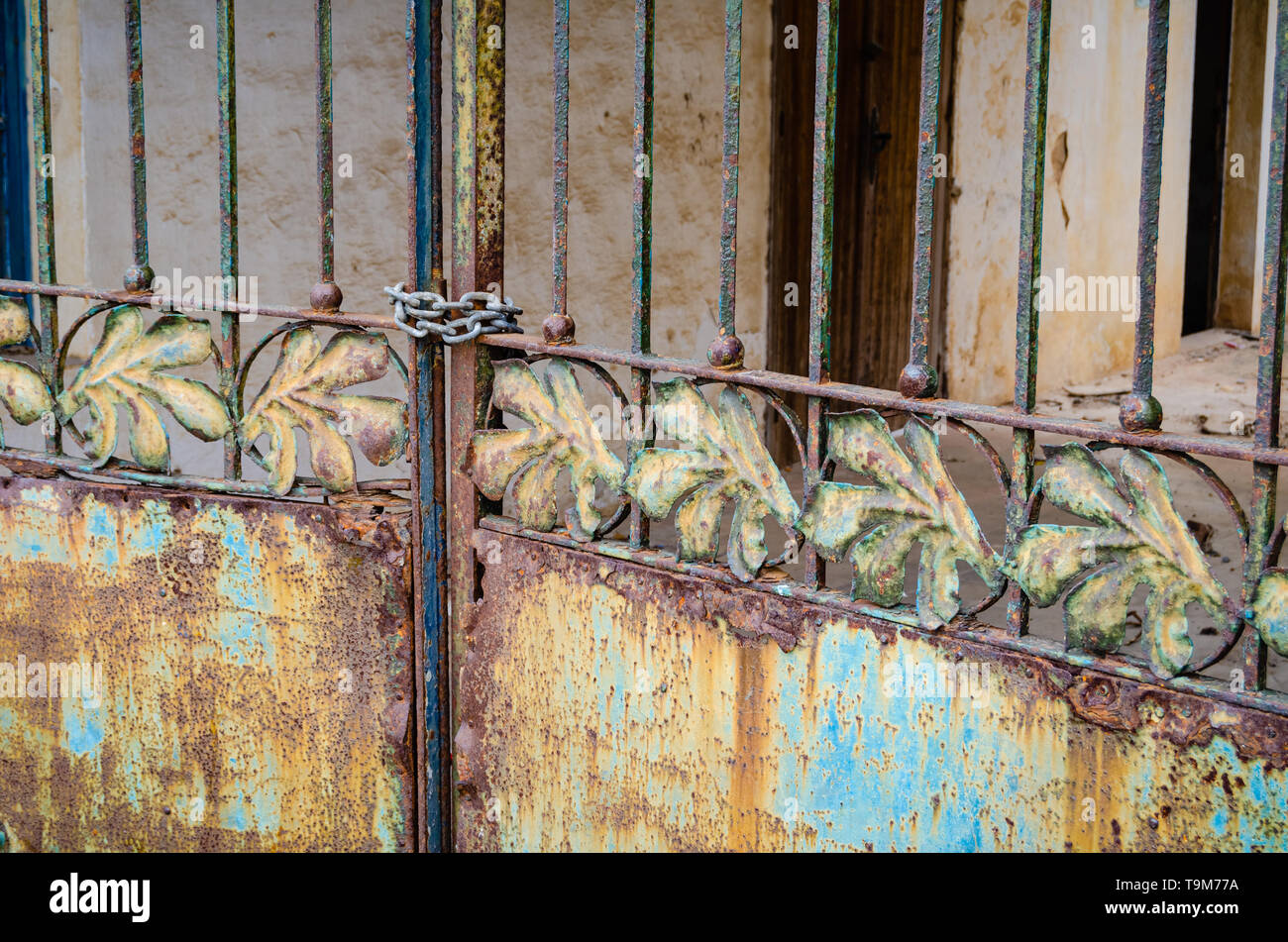 A rusting gate, with a leaf motif, is chained and padlocked against ...