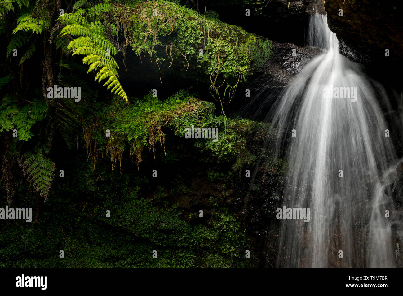 Cascade at Ribeira da Agualva. Terceira, Azores, Portugal Stock Photo ...
