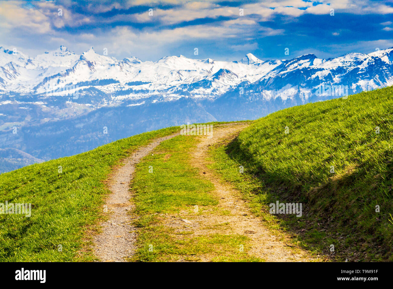 Mountain trekking path leading through green meadow in Swiss Alps Stock ...