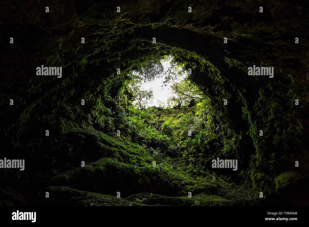 Algar do Carvão volcanic chimney entrance. Terceira, Azores, Portugal ...
