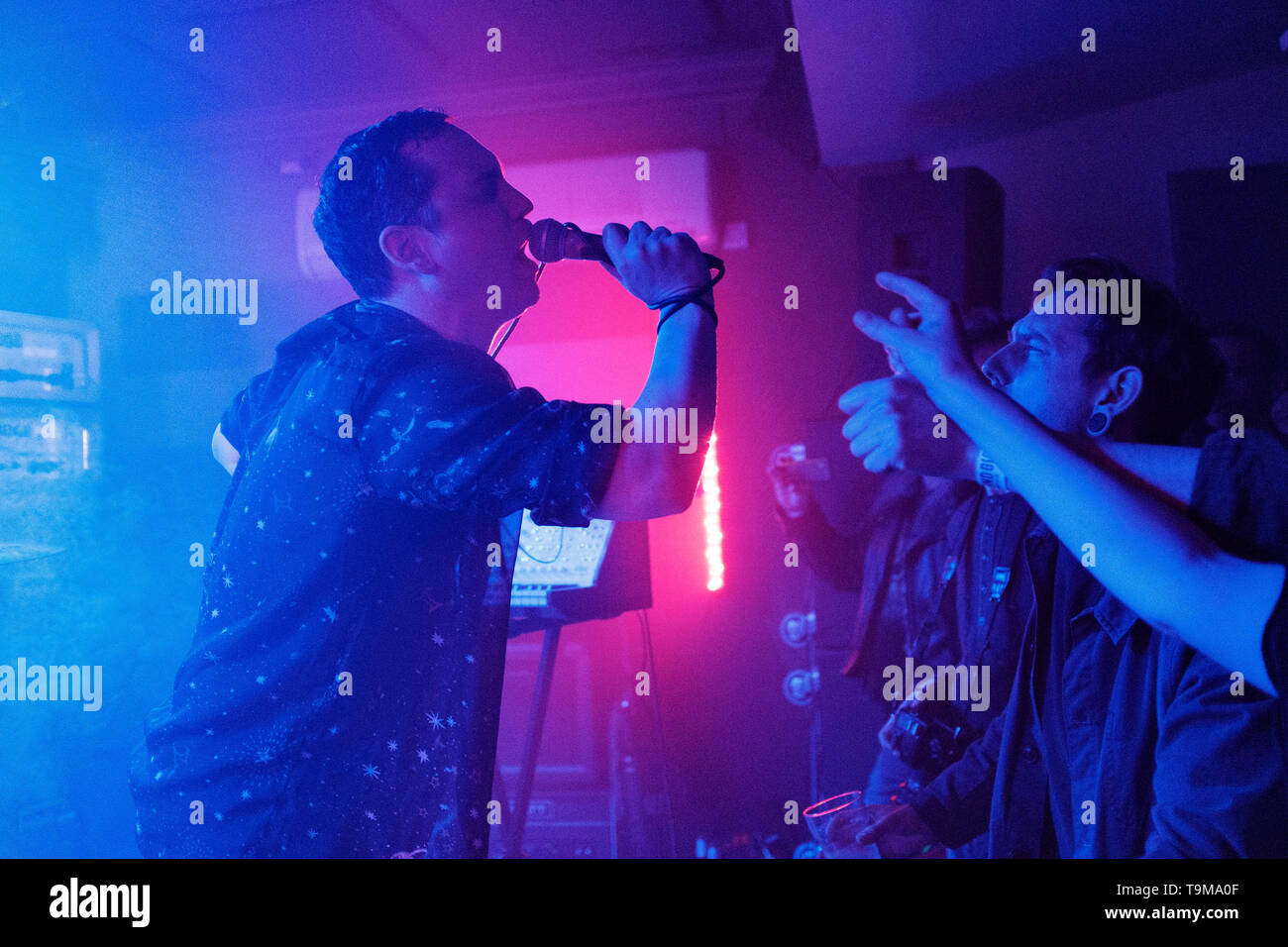 Pigs pigs pigs pigs pigs pigs pigs concert hi-res stock photography and ...