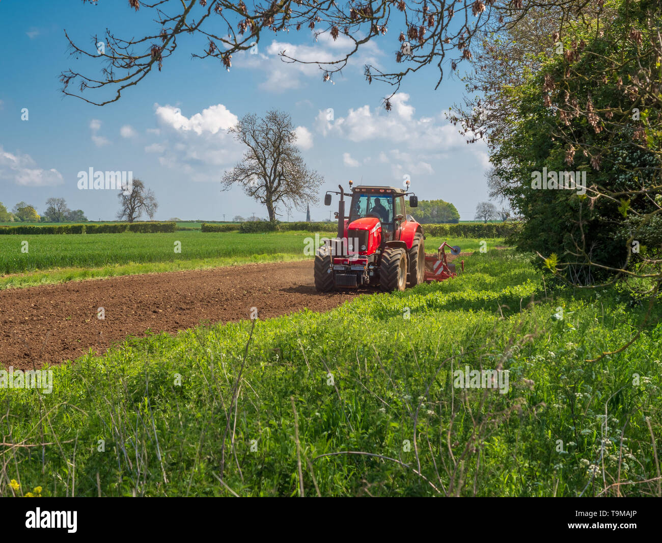 Planting environmental wild bird cover crops with Massey ferguson ...