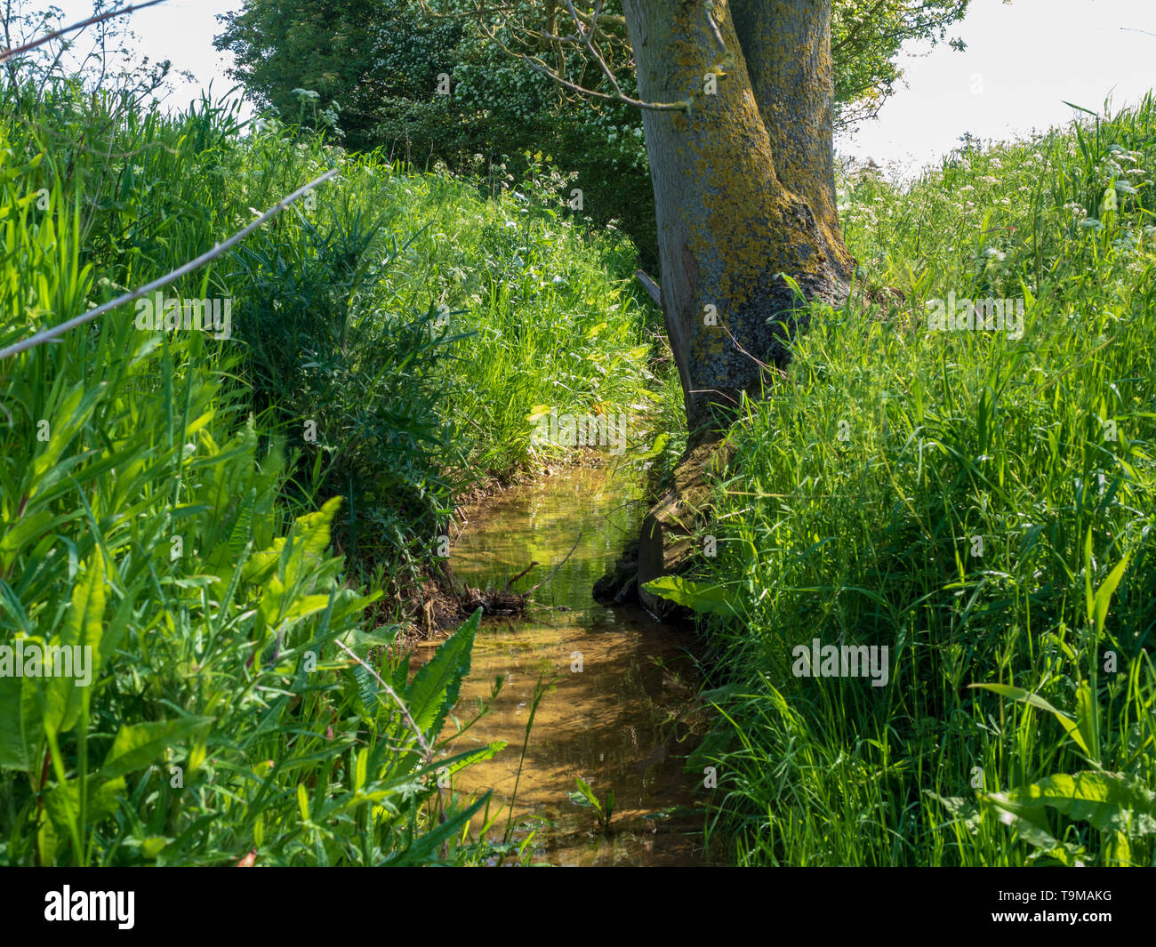 Land drain drainage hi-res stock photography and images - Alamy