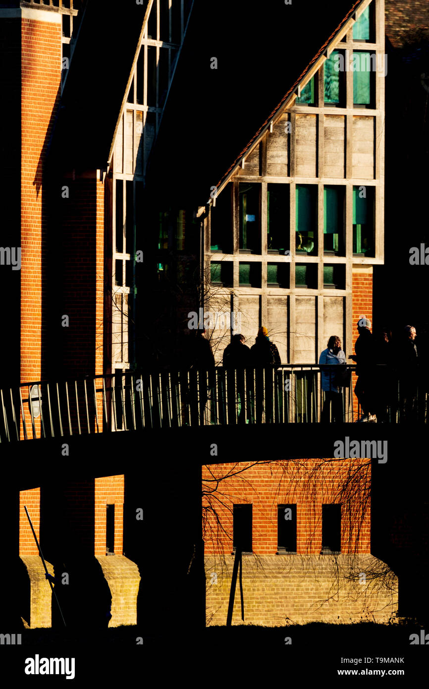 The Jerwood Library, Trinity Hall College, Cambridge Stock Photo - Alamy